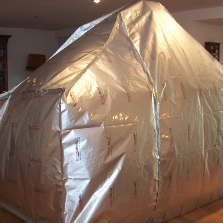 Traitement thermique Entotherm® | Rentokil France