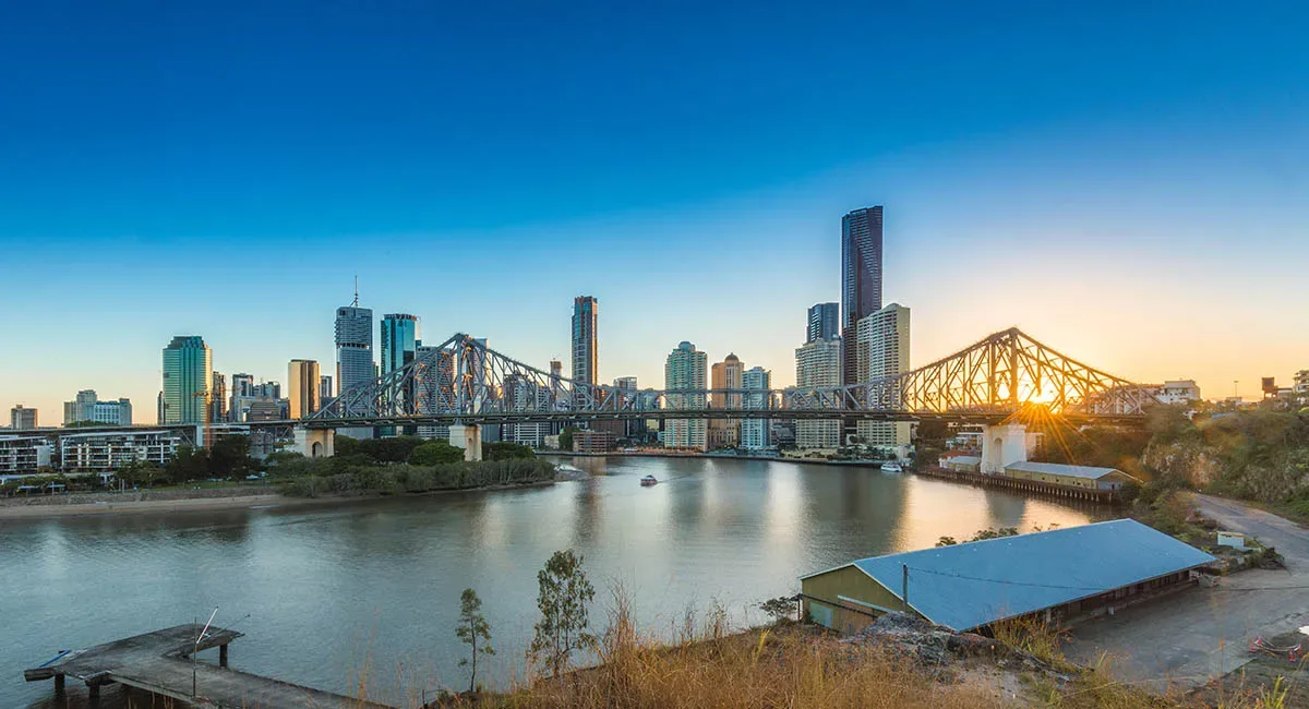 Termite treatment Gold Coast | termite control & inspection