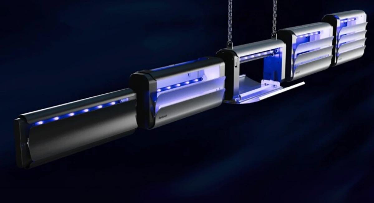 7 things to consider when choosing an Insect Light Trap | Rentokil Malaysia