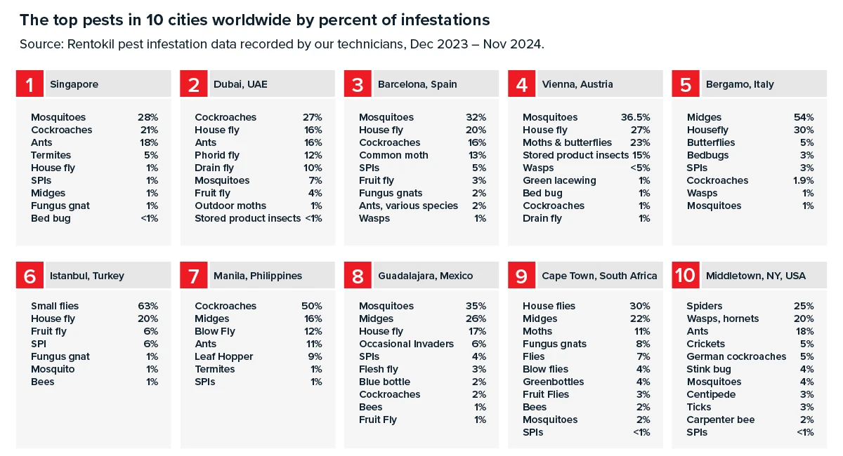 What are the top bugs in cities around the world? | Rentokil