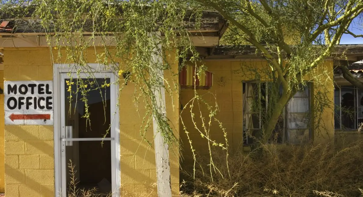 Exploding weeds this season? Blame a wet winter and spring. | Rentokil US