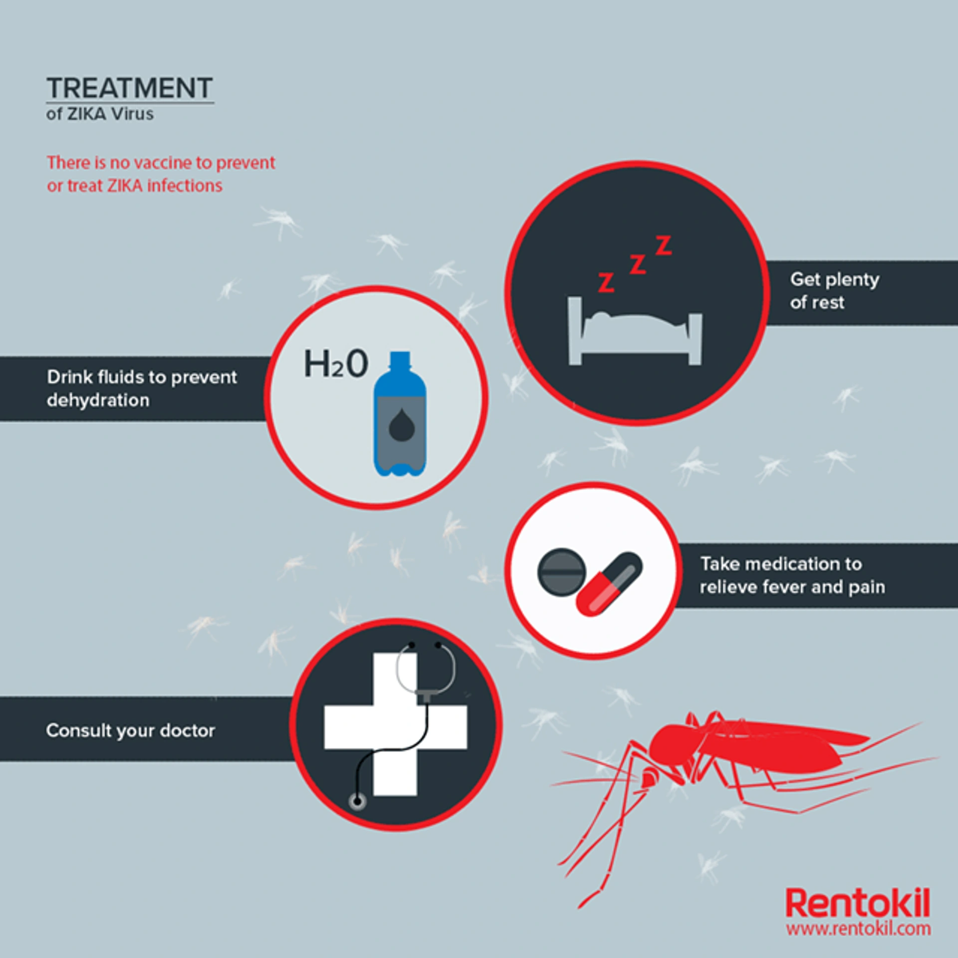 Industrial Mosquito Protection Against Dengue & Zika
