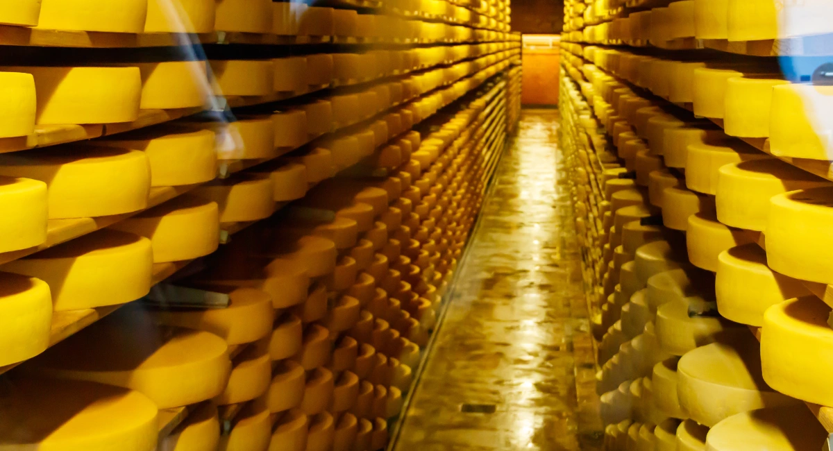 Food production pest trends: what you should know | Rentokil US