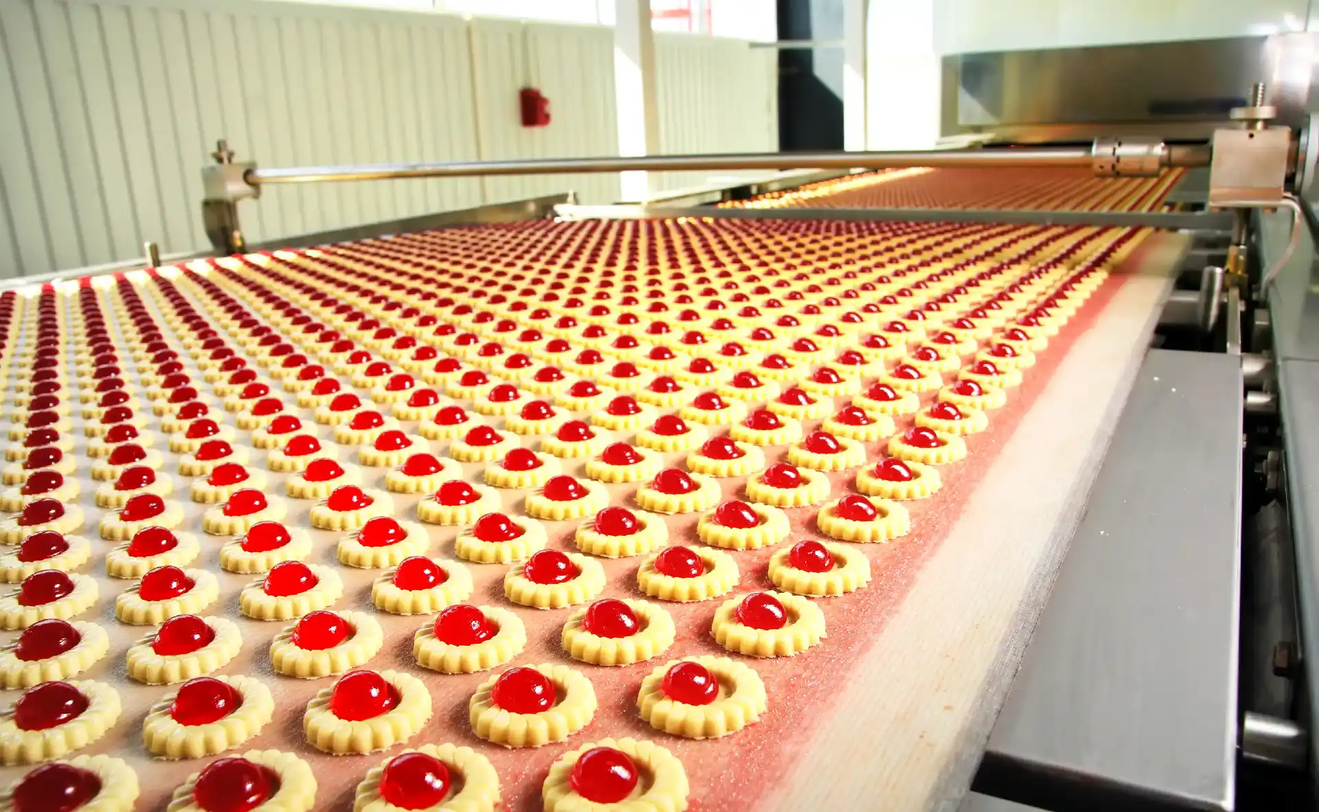 Pest control legislation for food processing | Rentokil
