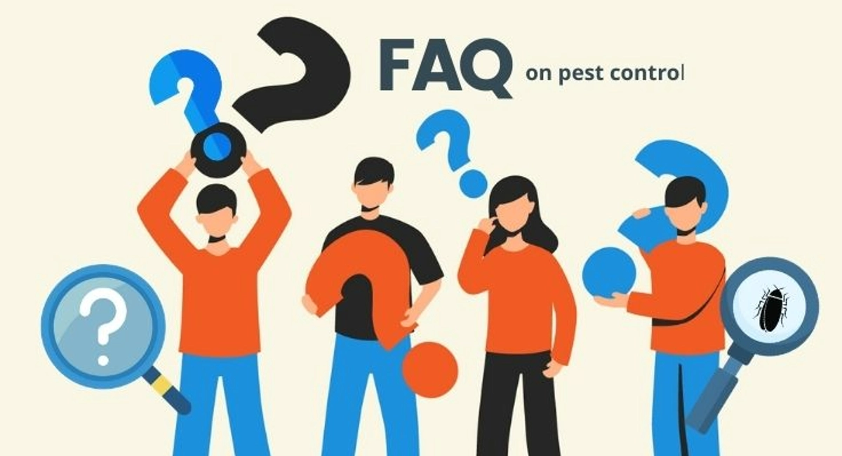 Rentokil Singapore - What Do Most Pests Have in Common?
