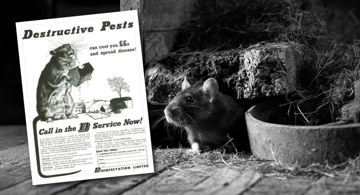 From snap to smart: The evolution of the mouse trap | Rentokil